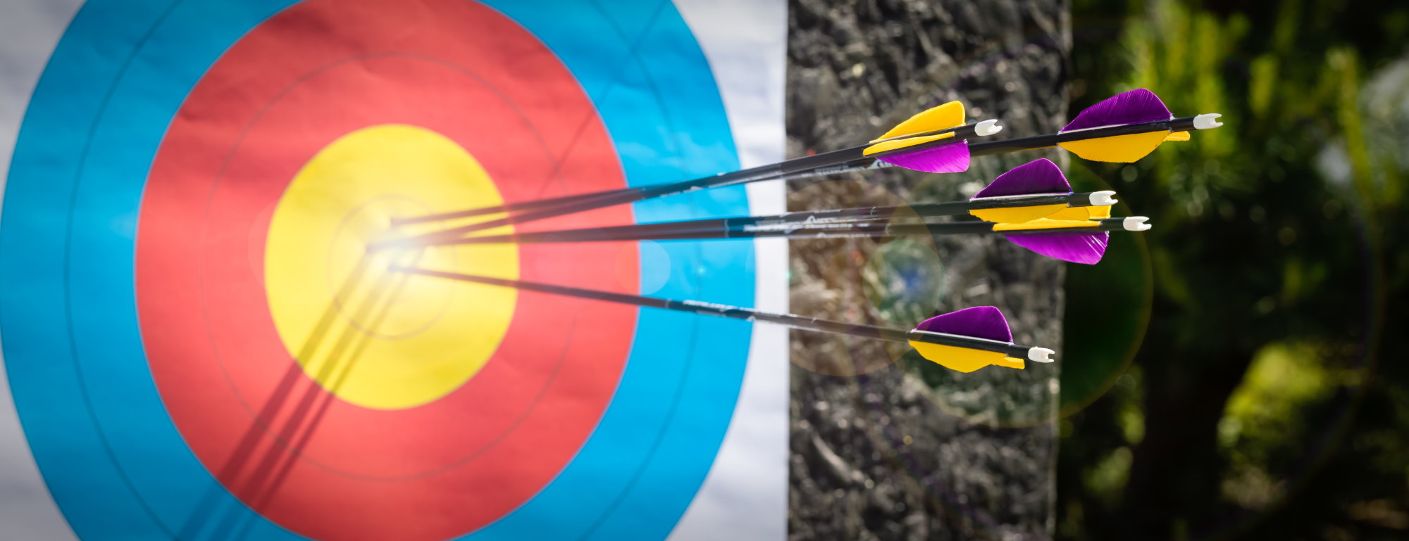 Krafttraining mit Bogenbezug - sfs-archery -Erlebnis Bogenschießen-